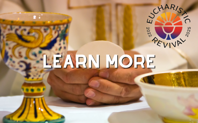 Eucharistic Revival - Our Lady of Lourdes Parish Family | Dunedin, Florida